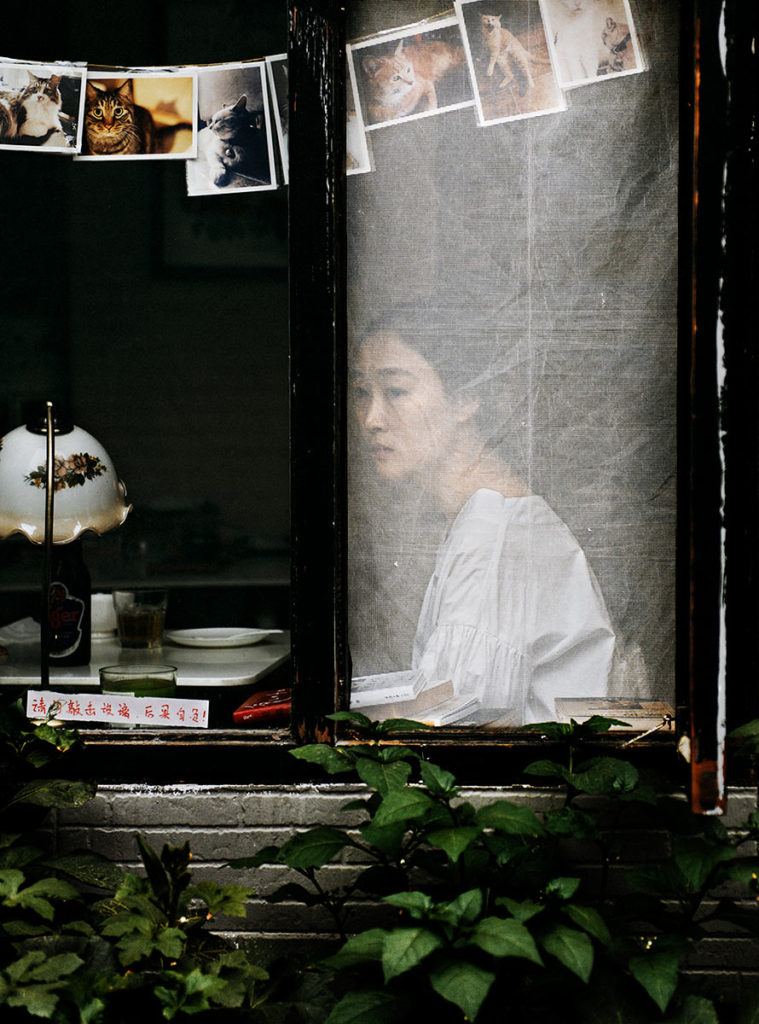 Cat café, Beijing, China – Rowan Thornhill